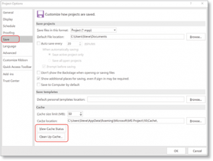 A sparkling clean Microsoft project cache, a more productive you ...