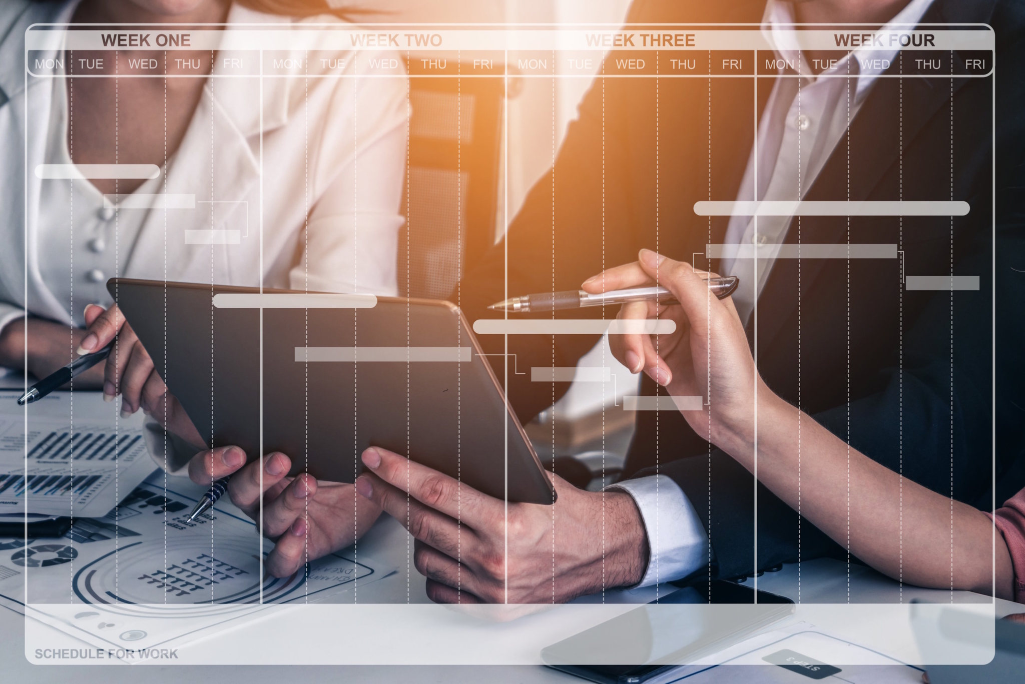 Services - Sensei Project Solutions