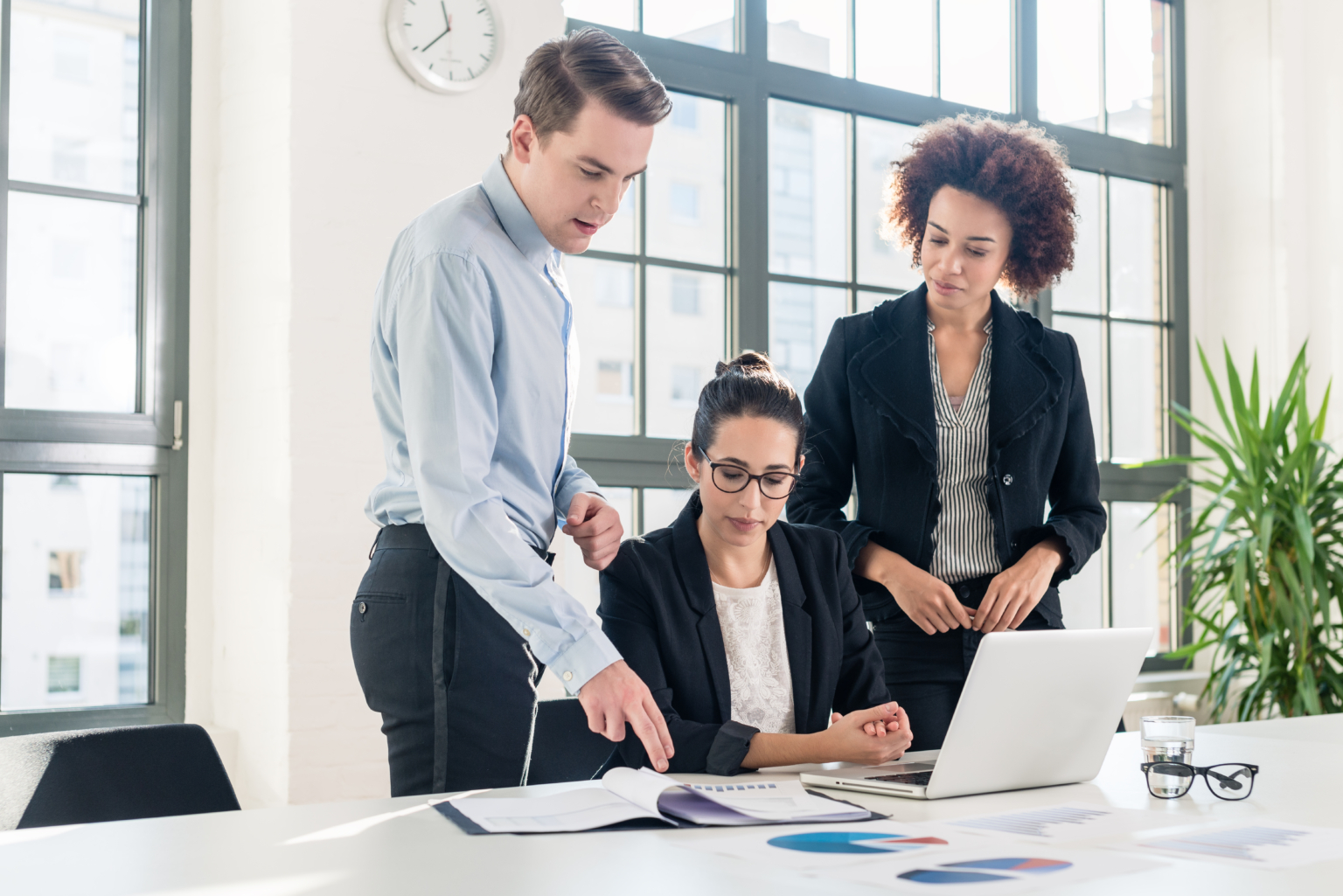 Insights - Sensei Project Solutions